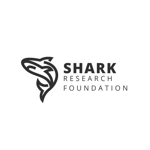 The Incredible Speed and Agility of Mako Sharks - Shark Research Foundation